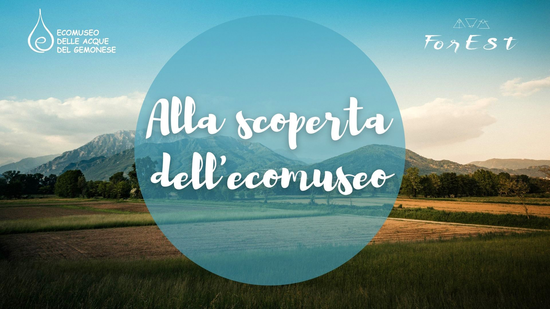 News • ForEst Studio Naturalistico