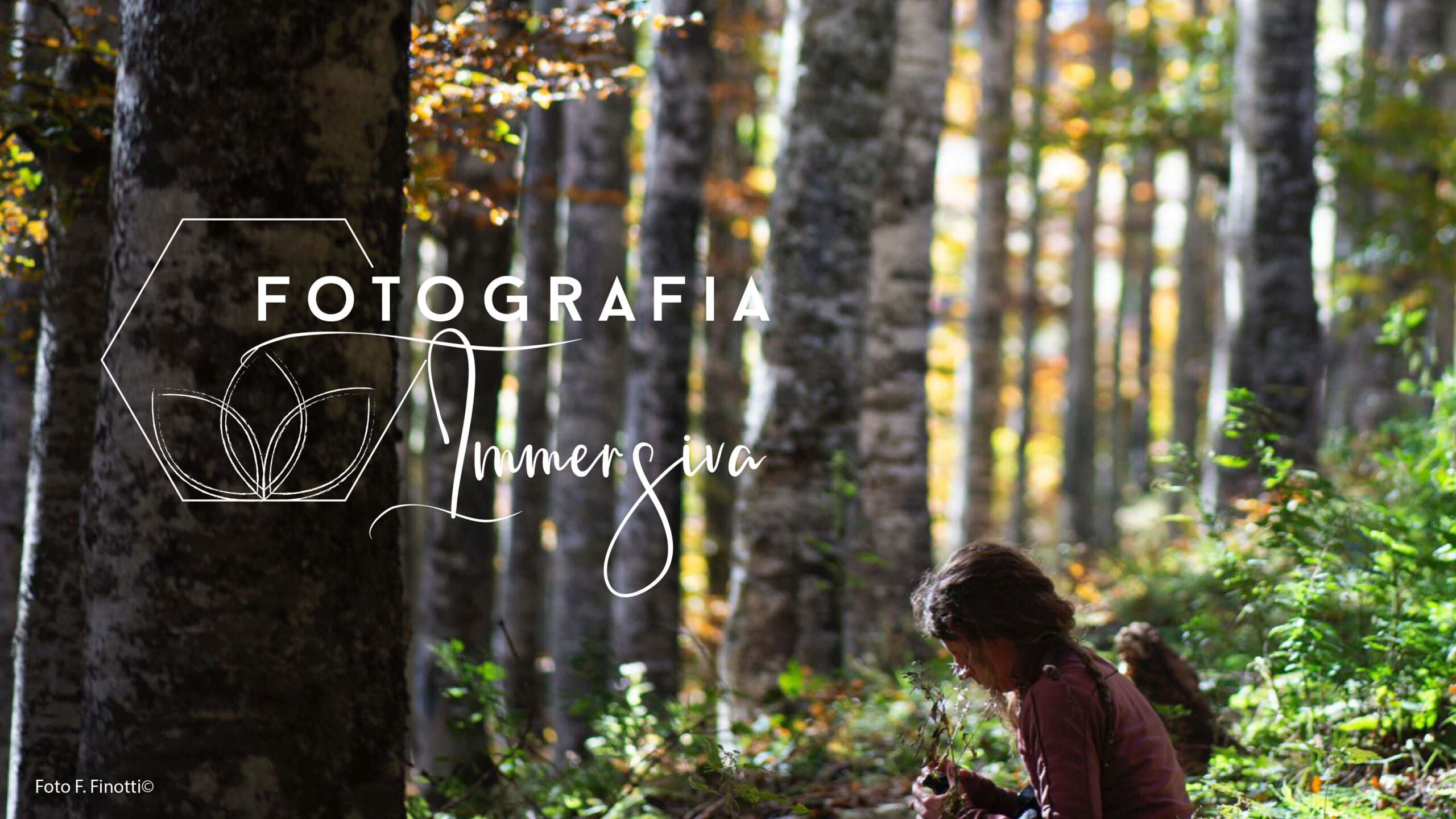 Blog • ForEst Studio Naturalistico